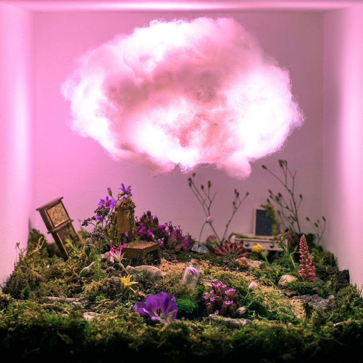 A Diamond Waiting: Jamie Beale & 'Hello Nimbus' • Music Daily